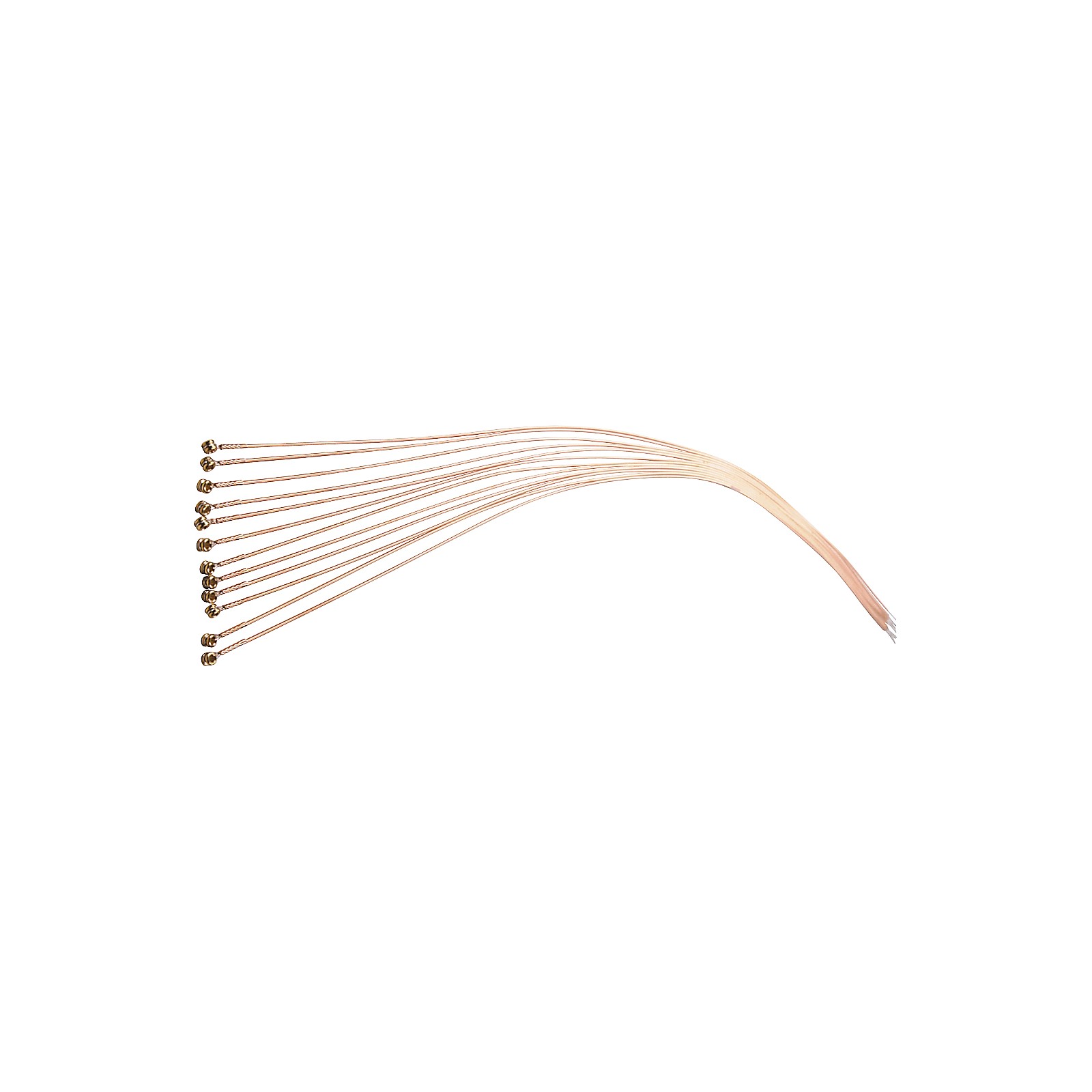 Rogue B24 Bulk 024 Phosphor Strings | Guitar Center