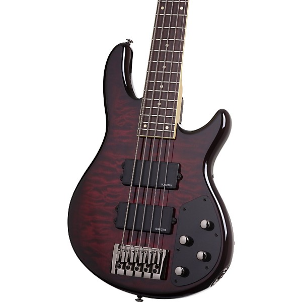 Schecter Guitar Research Raiden Elite-5 Electric Bass Guitar Black ...