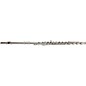 Avanti 2000 Professional Flute B Foot Inline G | Guitar Center