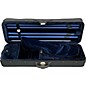 Bellafina Luxolite Violin Case 4/4 Size | Guitar Center