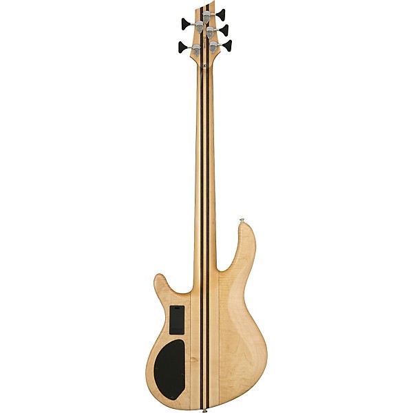Laguna Ocean TB75 5-String Neck-Thru Electric Bass Open Pore Black ...