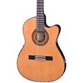 Ibanez GA Series GA5TCE Thinline Classical Acoustic-Electric Guitar ...