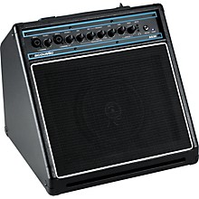 Acoustic Guitar Amplifiers | Guitar Center