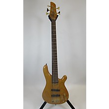 Fernandes | Guitar Center