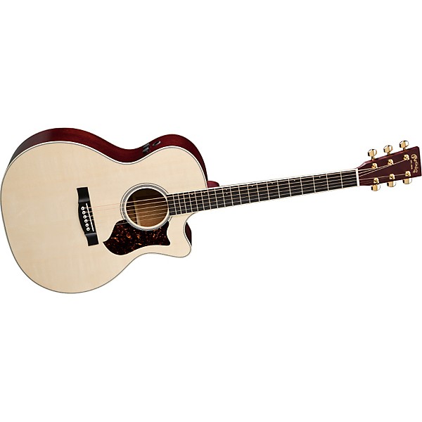 Martin Performing Artist Series GPCPA MAHOGANY Acoustic-Electric Guitar ...