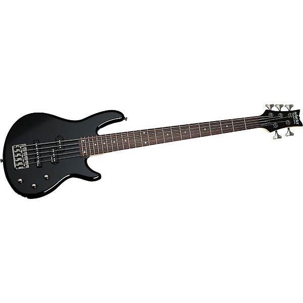 Schecter Guitar Research Raiden Deluxe-5 5-String Electric Bass Guitar ...