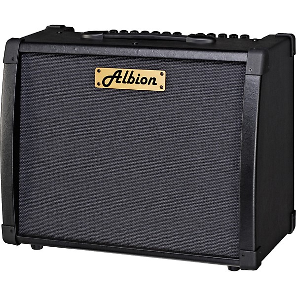Albion Amplification AG Series AG80R 80W Guitar Combo Amp Black ...
