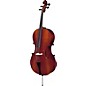 Open Box Strunal 40/4 Series Cello Outfit 4/4 Outfit | Guitar Center