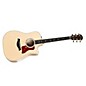 Platinum Taylor 610ce Maple/Spruce Dreadnought Acoustic-Electric Guitar ...