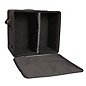 Gator G-PA TRANSPORT-LG Case for Larger "Passport" Type PA Systems ...
