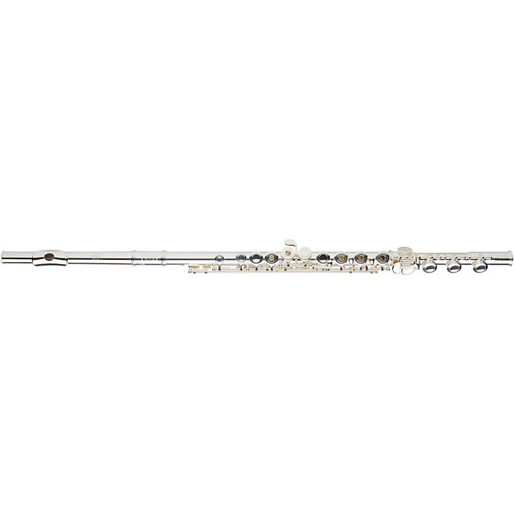 Gemeinhardt 3SB NG New Generation Flute Offset Body 194744469411 ...