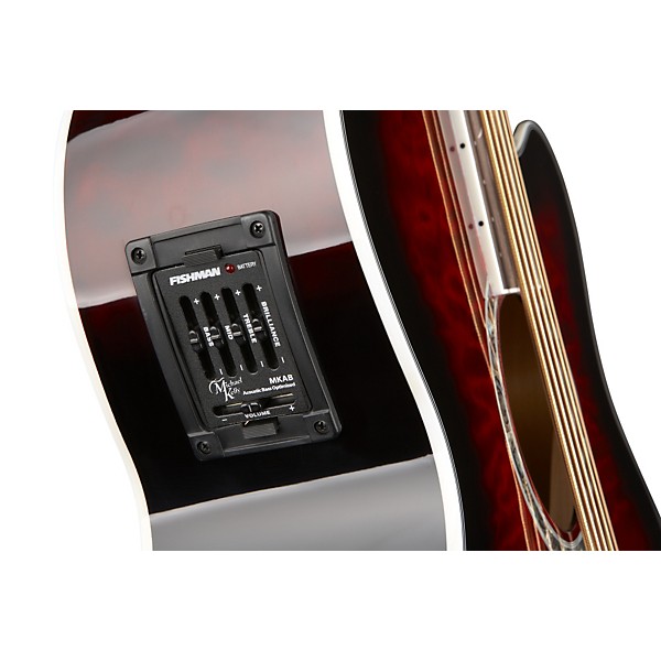 Michael Kelly Dragonfly 5-String Fretless Acoustic-Electric Bass ...
