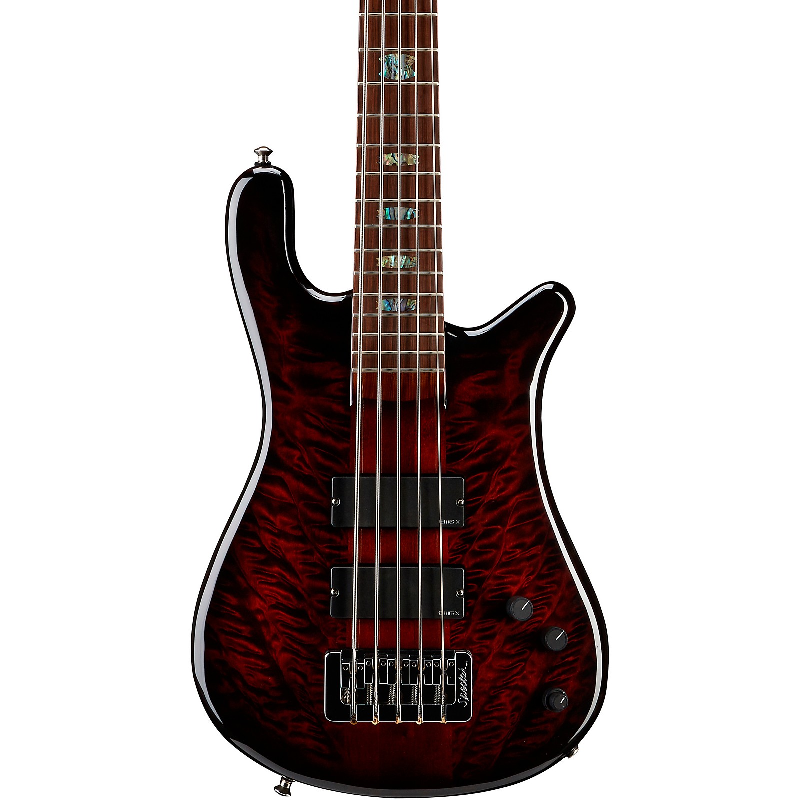 Spector 5 String Bass
