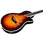 Platinum Taylor T5z Pro Acoustic-Electric Guitar Tobacco Sunburst ...