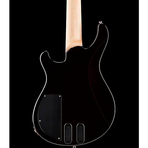 Platinum PRS Gary Grainger 5-String Electric Bass Guitar with Maple ...