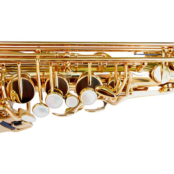 MACSAX Empyreal Alto Saxophone Honey Gold Lacquer | Guitar Center