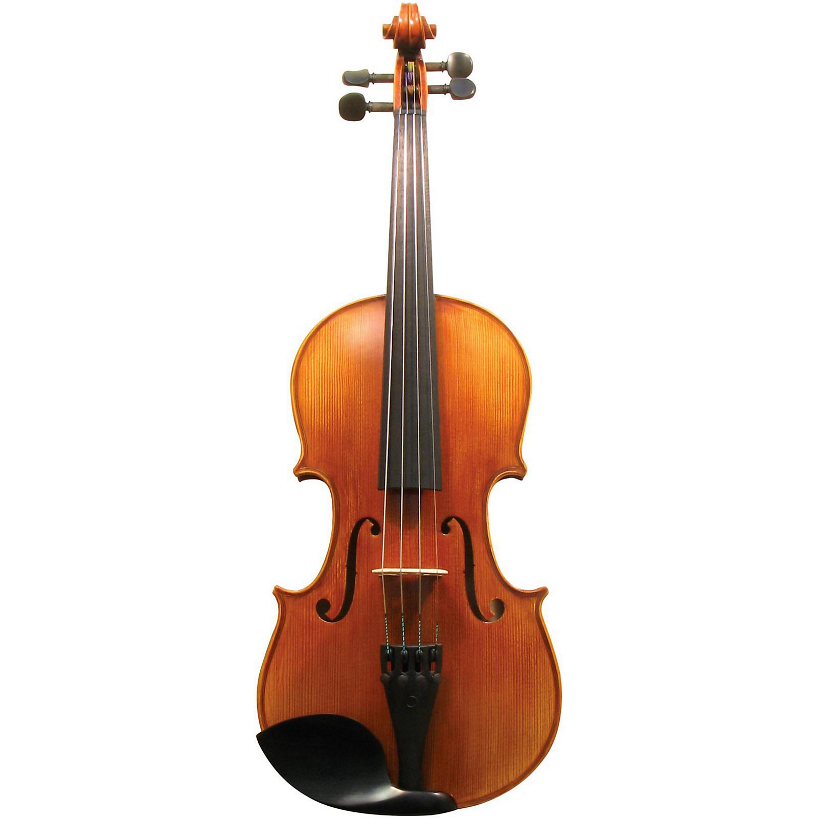 Maple Leaf Strings MLS 130 Apprentice Collection Viola Outfit 16 in ...