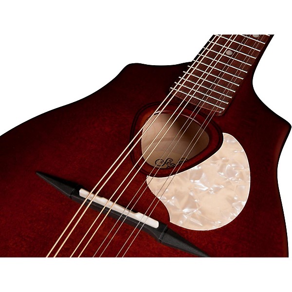 Open Box Seagull S8 Mandolin SG, Burnt Amber Burnt Umber | Guitar Center