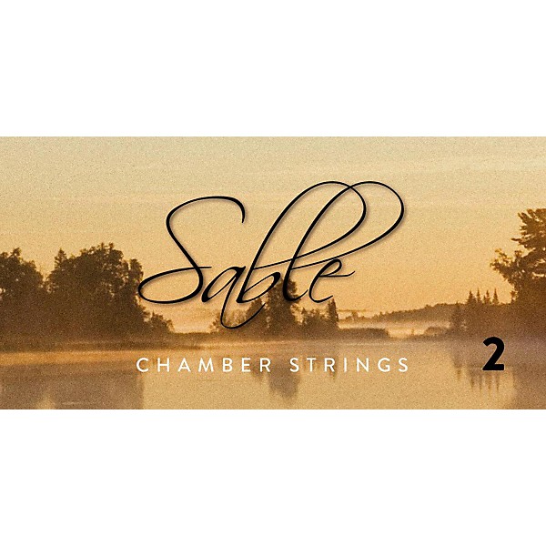 Spitfire BML Chamber Strings Sable 2 | Guitar Center