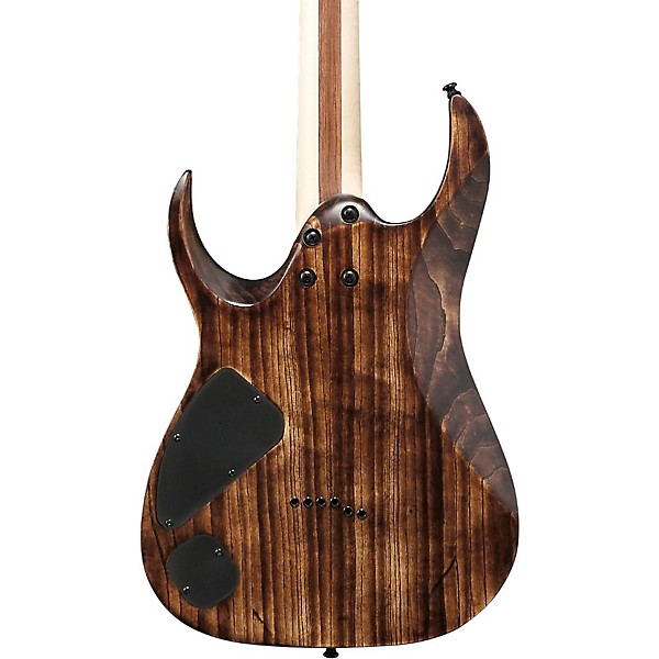 Open Box Ibanez RGA Iron Label RGAIX6U 6-string Electric Guitar Antique ...