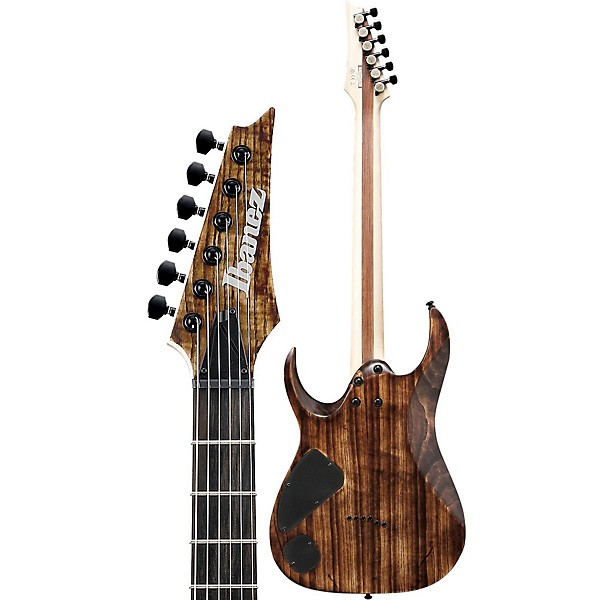 Open Box Ibanez RGA Iron Label RGAIX6U 6-string Electric Guitar Antique ...