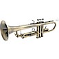 Allora ATR-580 Chicago Series Professional Bb Trumpet Matte Lacquer ...