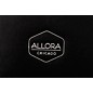 Allora ATR-580 Chicago Series Professional Bb Trumpet Matte Lacquer ...