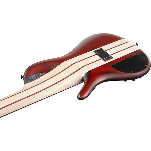Ibanez Bass Workshop SRSC806 6-String Electric Bass Deep Ibanez Bass Workshop SRSC806 6-String Electric Bass Deep