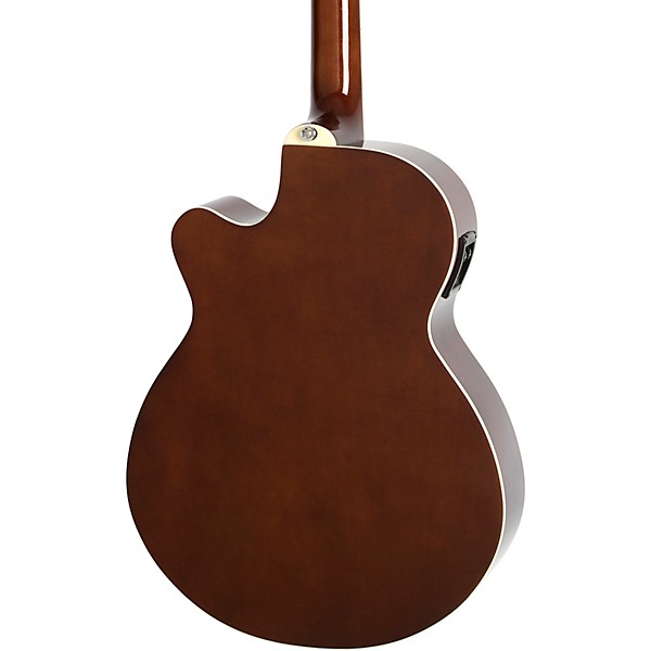 Epiphone Performer PR-4E Limited-Edition Acoustic-Electric Guitar ...