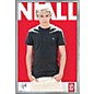 Trends International One Direction - Niall Horan Poster Framed Silver ...