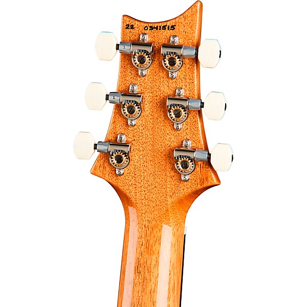 Platinum PRS DGT With Bird Inlays Electric Guitar Violet | Guitar Center