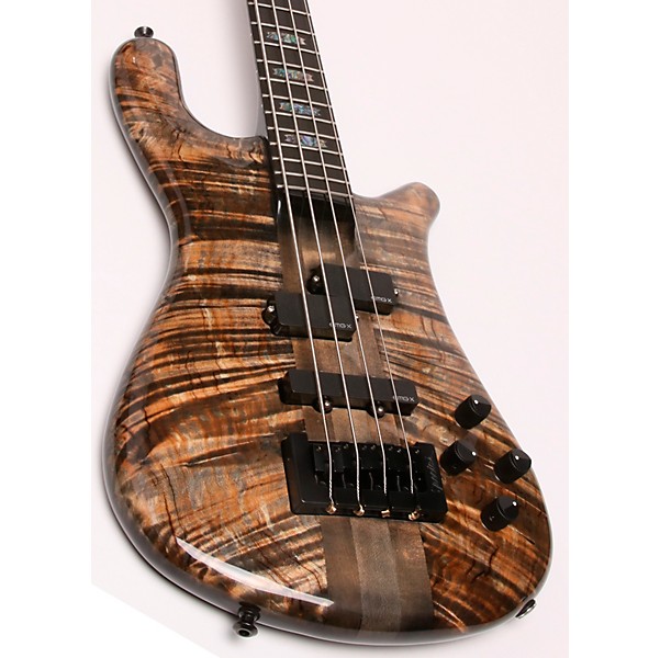 Platinum Spector NS-2 Spalted Top Bass See-Thru Black | Guitar Center