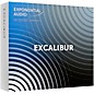 Exponential Audio Excalibur Stereo Multi-Effects Plug-In | Guitar Center