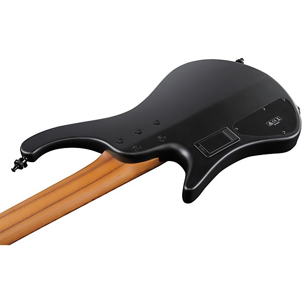 Ibanez EHB1005 5-String Ergonomic Headless Bass Flat Black | Guitar Center