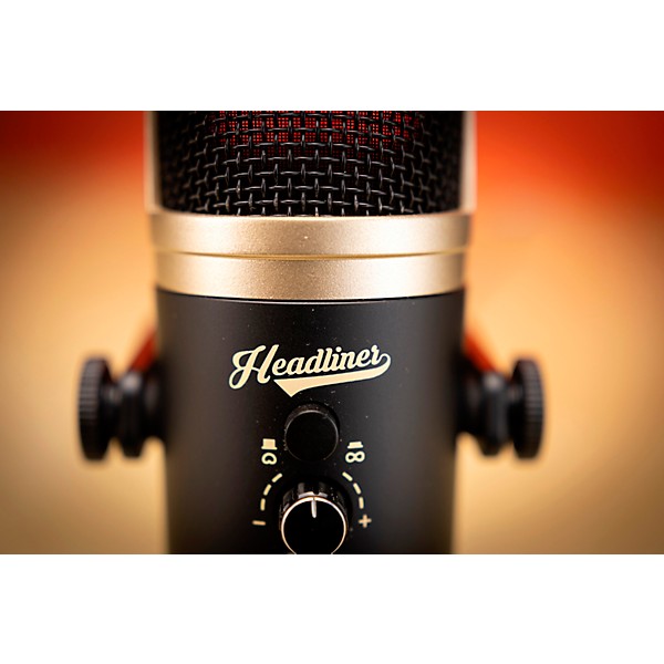 Headliner Roxy Stereo USB Microphone with Dual Condenser Capsules for ...