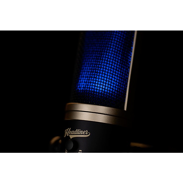 Headliner Roxy Stereo USB Microphone with Dual Condenser Capsules for ...