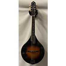 The Loar Mandolins | Guitar Center