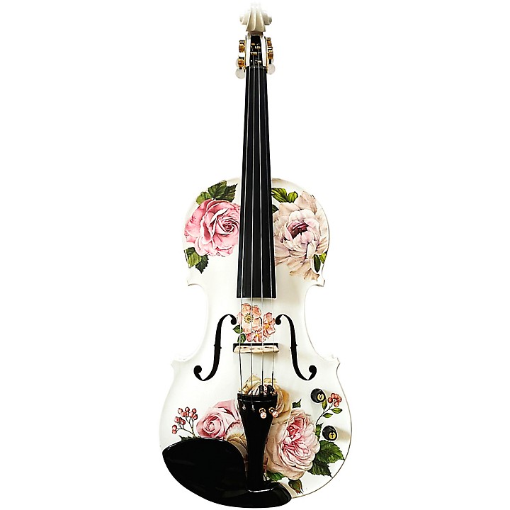 Rozanna's Violins Rose Delight Electro Acoustic Series Violin Outfit 4/ ...