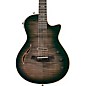 Platinum Taylor T5z Custom Big Leaf Maple-Urban Ash Acoustic-Electric ...